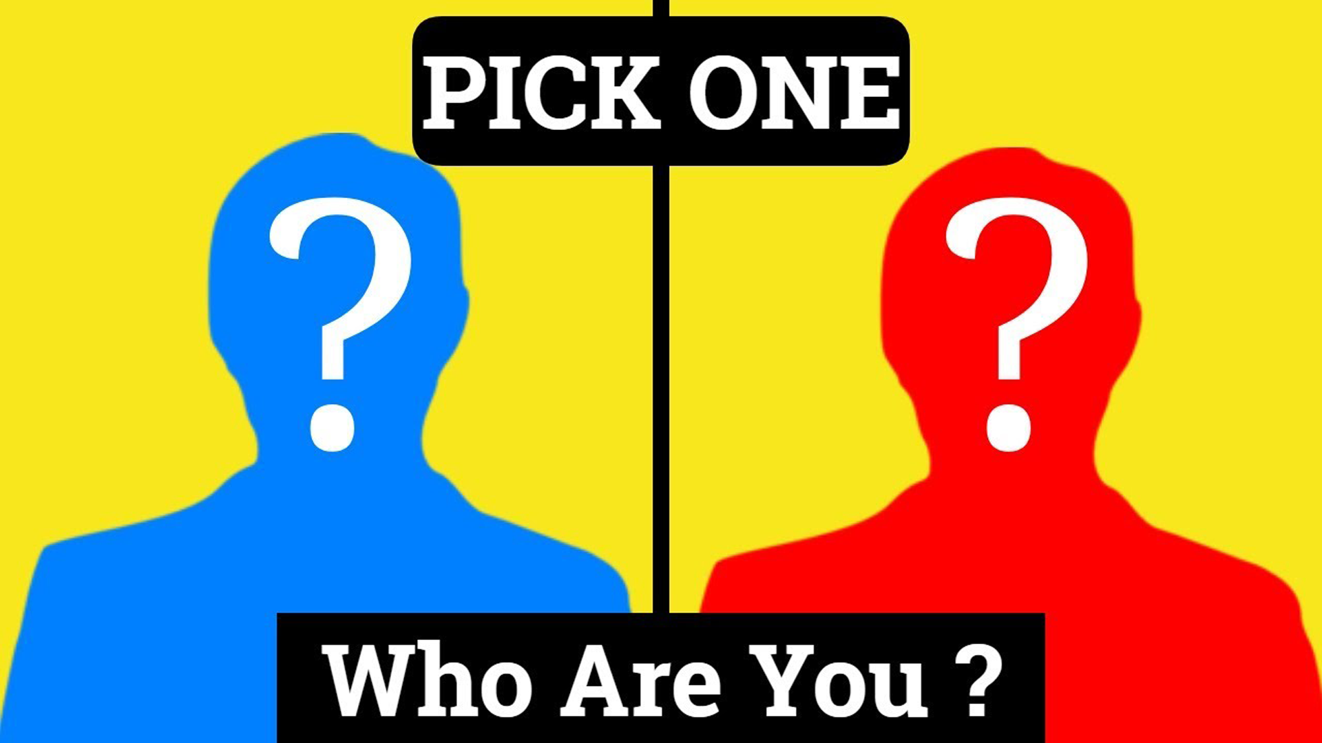 Choose Your Role - Premium Coaching or Consultant?