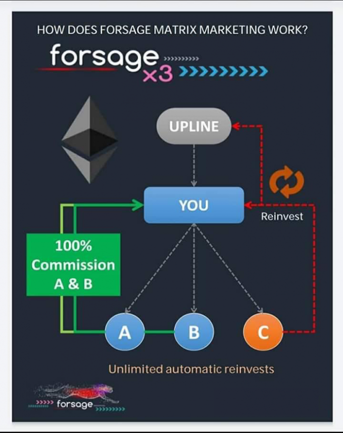 how-forsage-works-X3-EDIT - TAS.v7